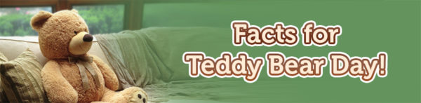 Facts to Know for National Teddy Bear Day - 5miles
